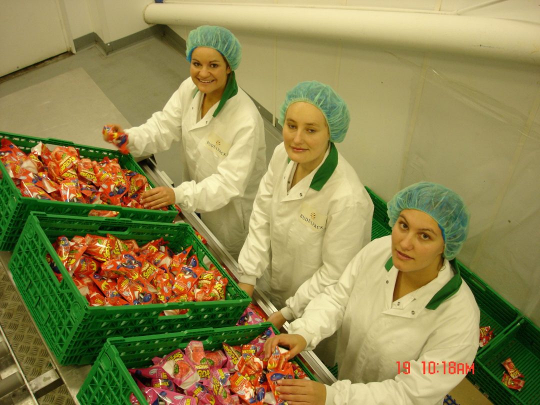 Packing & Distribution - Van Stomp - Temporary Labour for Farm, Field ...